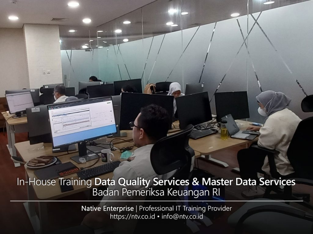 In-House Training "Data Quality Services & Master Data Services ...